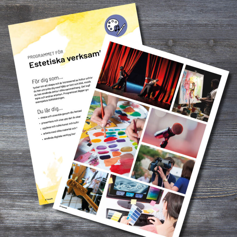 Anpassad gymnasieskola Programkort – digital leverans – Tremedia